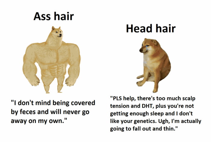 Even leg hair, i'm pretty sure not one of those has fallen out since ...