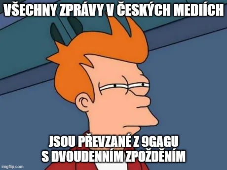 Memes Cesky Never Underestimate An Old Woman With A Cesky Terrier Old