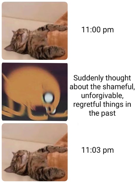 Best Funny cat meme Memes - 9GAG