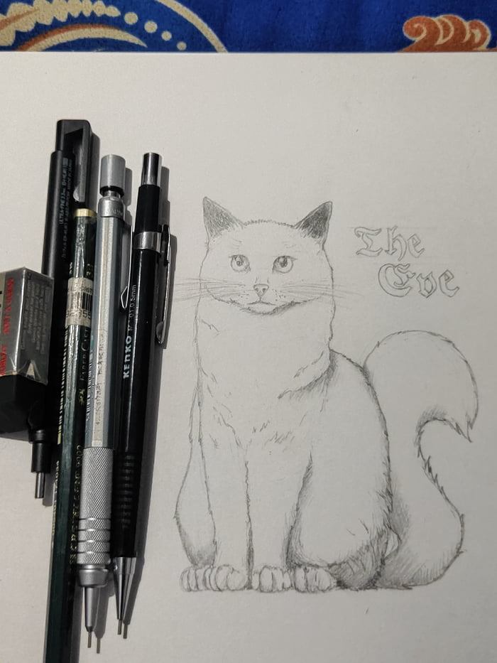 November(Eve), Celebrating one of the most discussed topic last month ...