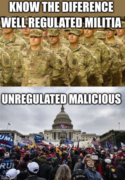 The 2nd Amendment calls for a "A well regulated Militia" - 9GAG