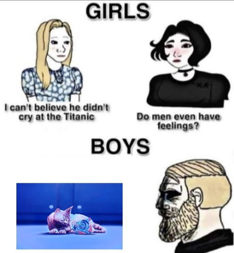 30+ Stray Memes, Highlights, and Videos