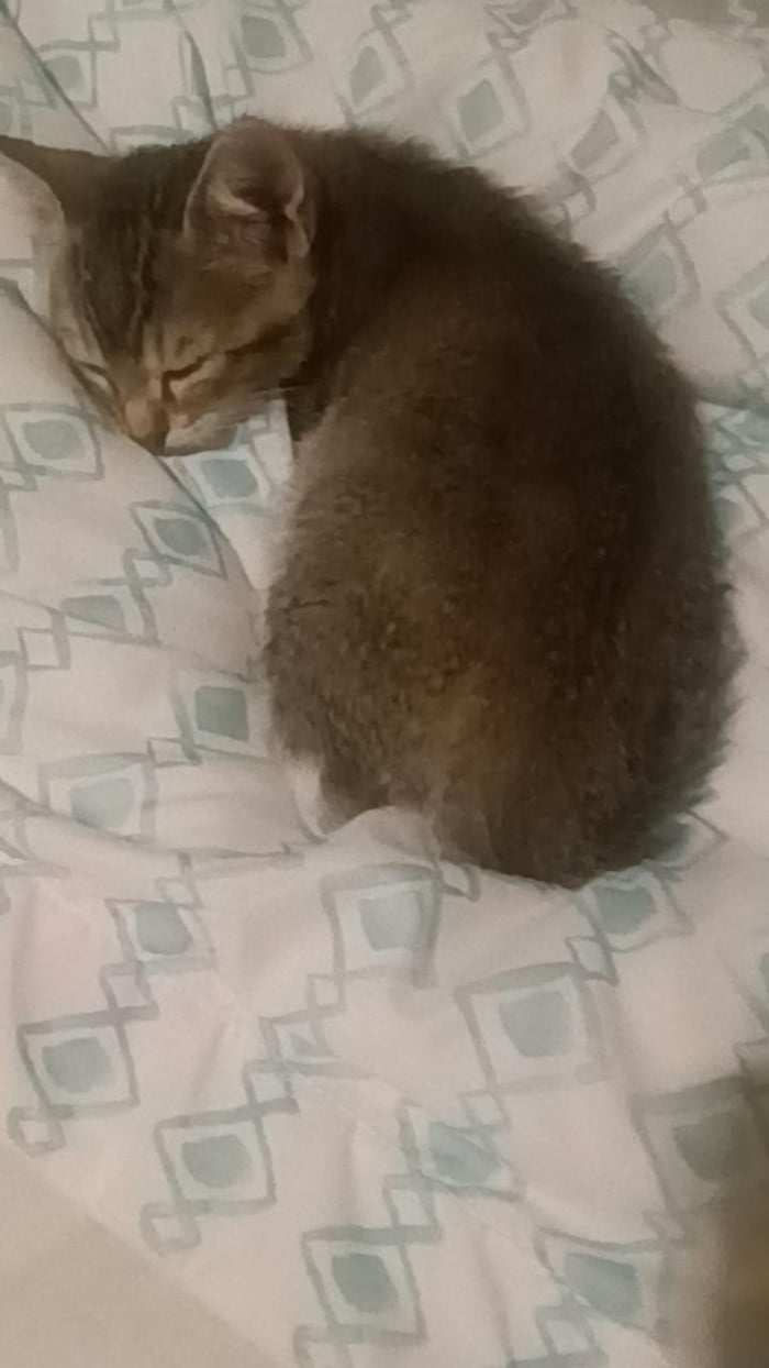 What Should Her Name Be 9GAG what-should-her-name-be-9gag