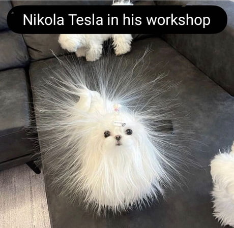 Best Funny tesla Memes - 9GAG