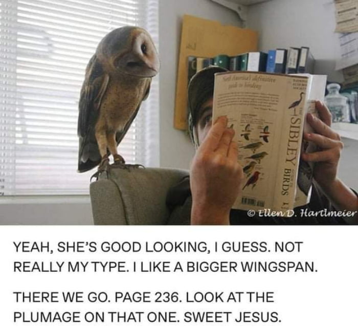 What a hoot - 9GAG