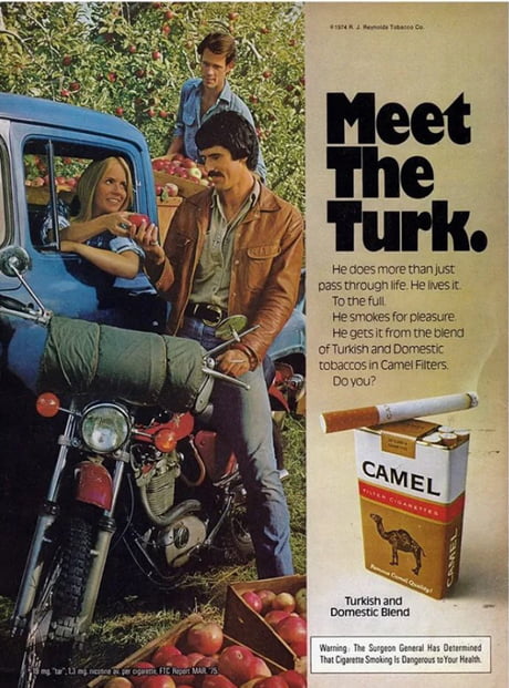 Best Funny camel Memes - 9GAG