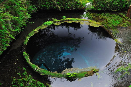 Best Funny fuji Memes - 9GAG