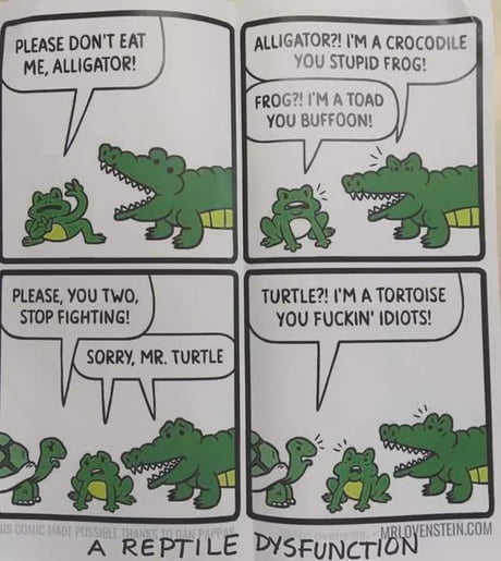 Best Funny crocodile Memes - 9GAG