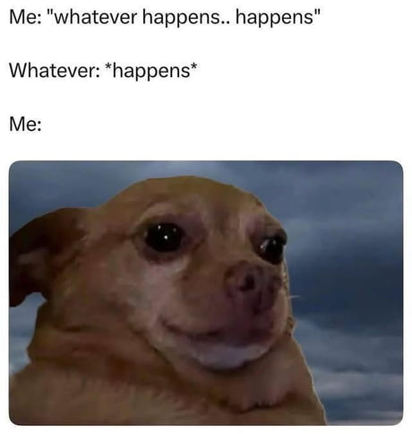 Best Funny whatever Memes - 9GAG