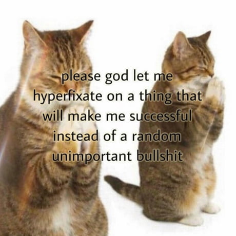 Best Funny hyperfixation Memes - 9GAG