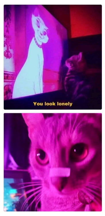 You look lonely - 9GAG