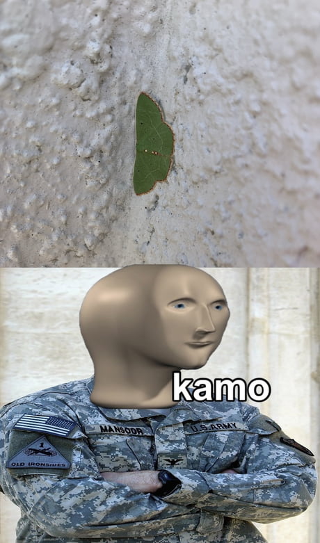 Best Funny camo Memes - 9GAG