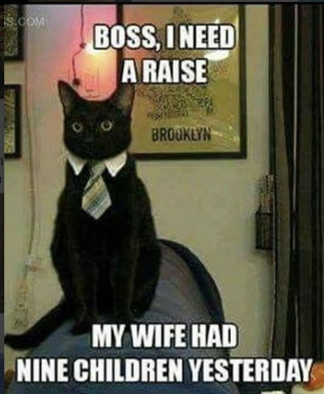 Sir Catbert negociating a rise - 9GAG