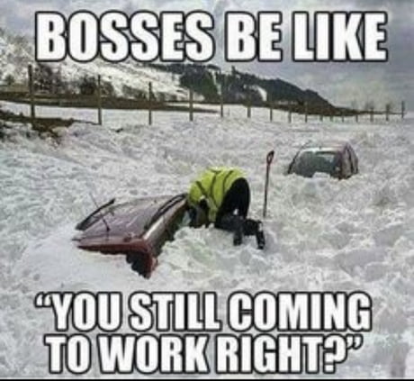 Sick Gross Memes The Most Funny Accounting, Bookkeeping, And CPA Memes