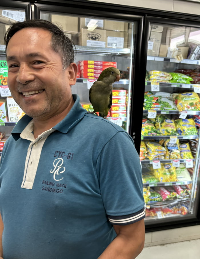 Ignore bots and enjoy random dude and parrot - 9GAG