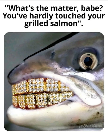 Memes Del Salmon Salmon Run Ain't No Joke Meme By Dag42 :) Memedroid