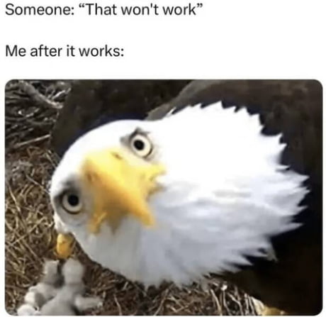 Good Eagle Memes Best Funny Bald Eagle Memes That Had Us Laughing Out
