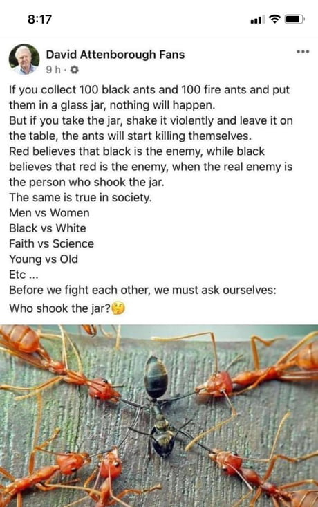 Best Funny truth Memes - 9GAG