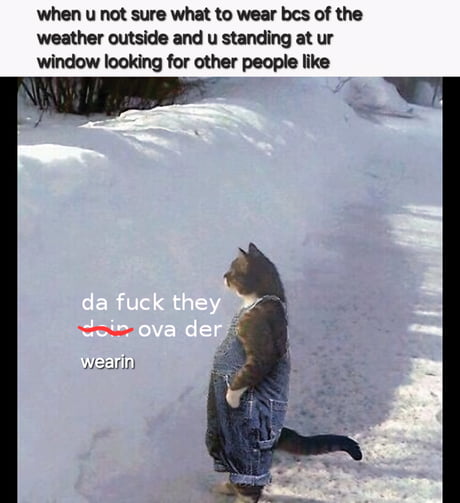 Best Funny weather Memes - 9GAG