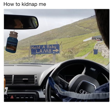 Best Funny lamb Memes - 9GAG