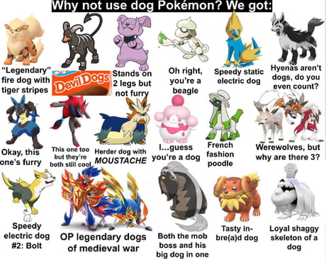 Pokemon Dog Memes 4 Interesting Dog Pokemons That Will Leave You