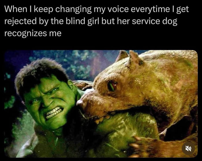 Dammit! I thought they were supposed to chill - 9GAG