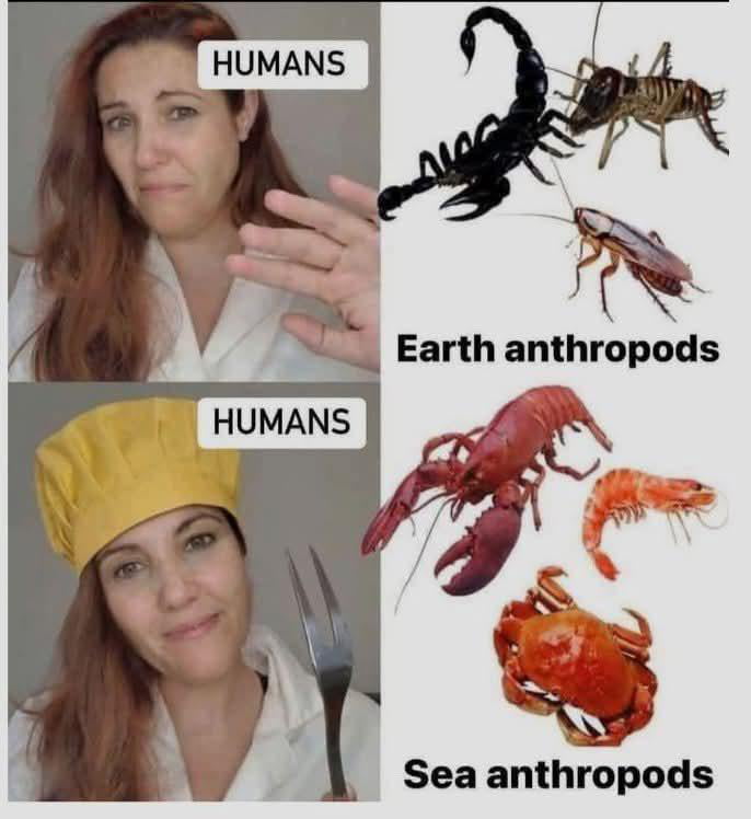 All look the same - 9GAG