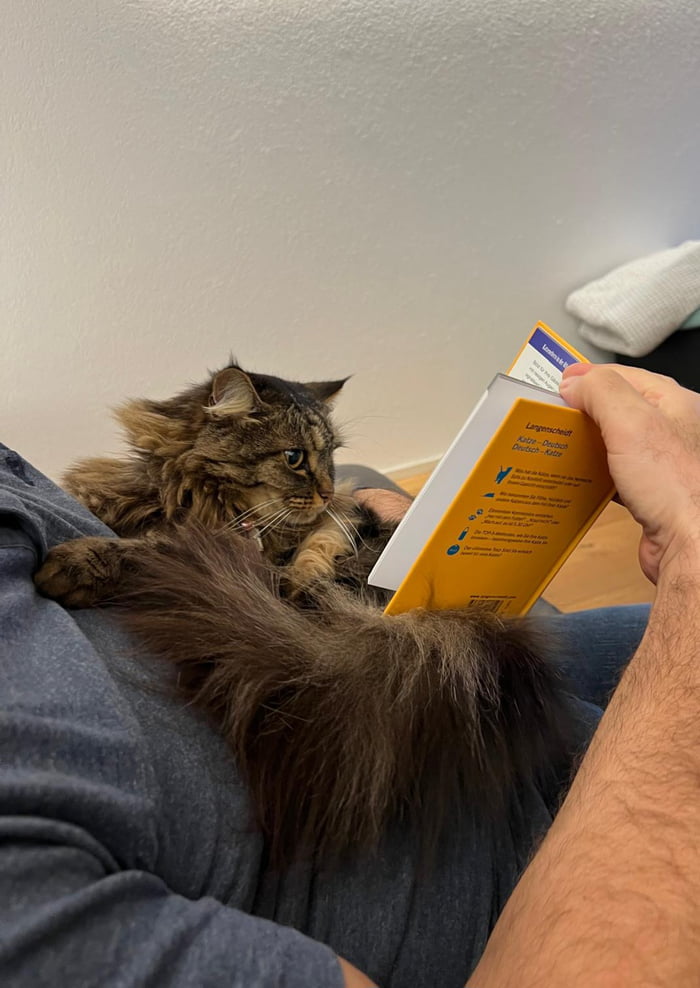 We're learning to comminucate..! - 9GAG