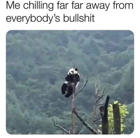 Best Funny zen Memes - 9GAG