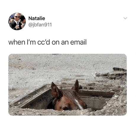 Best Funny cc Memes - 9GAG