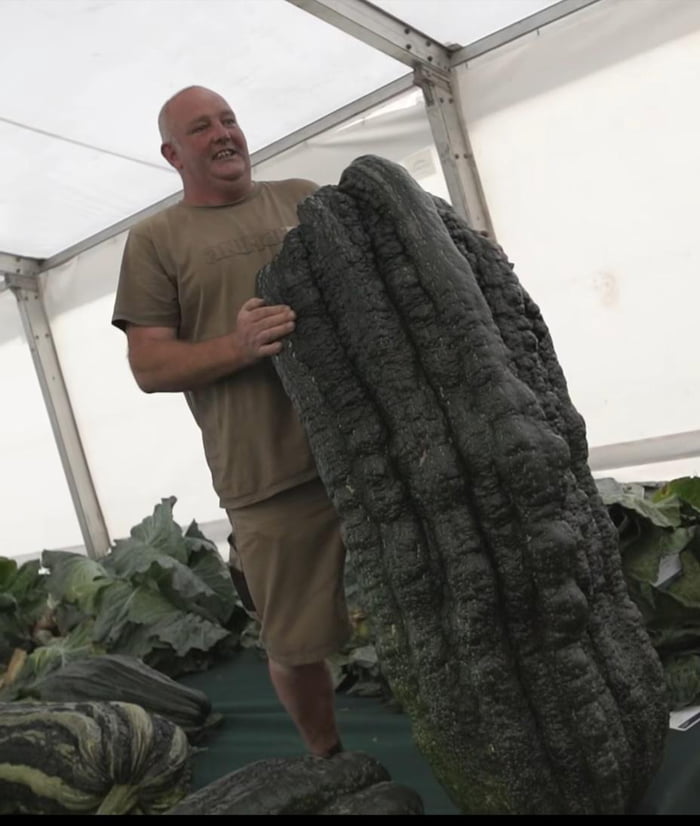 Just a man and his giant marrow, nothing to see here - 9GAG