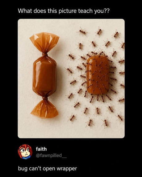 Best Funny ants Memes - 9GAG