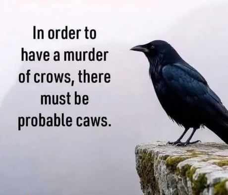 Best Funny crow Memes - 9GAG