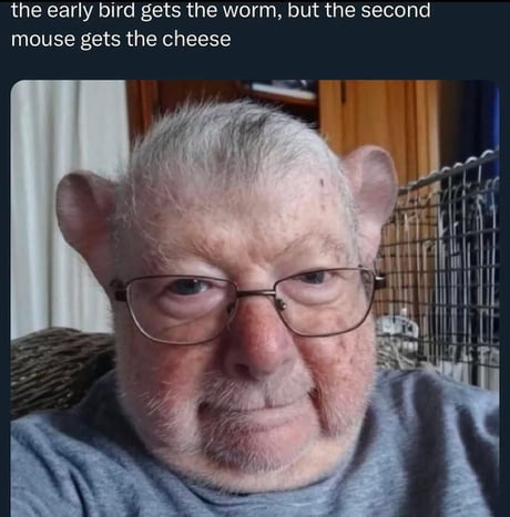 Memes Del Mouse Mouse Memes | TikTok