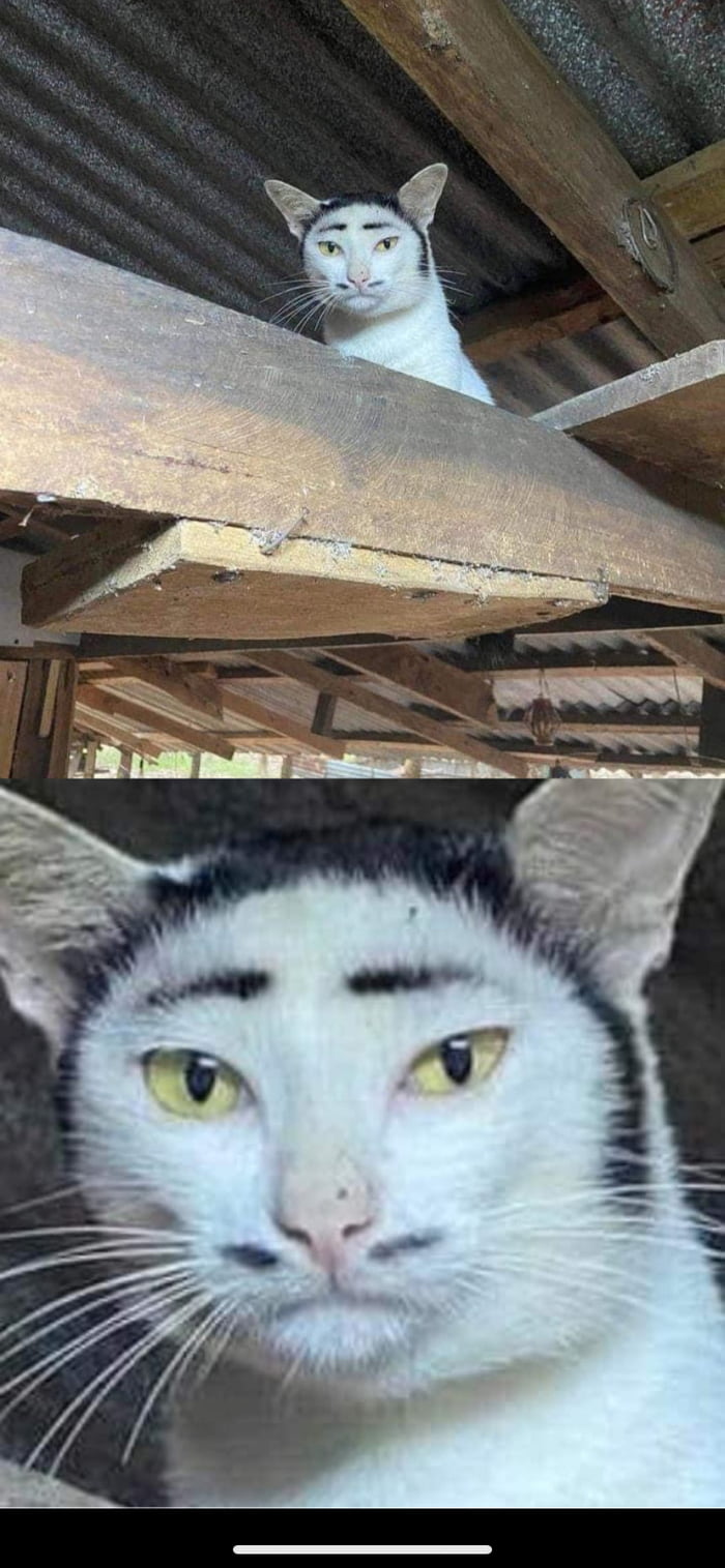 Damn, He’s so handsome hah? - 9GAG