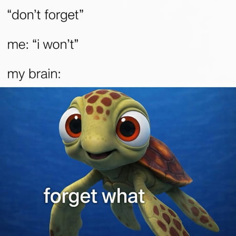 Best Funny dory Memes - 9GAG