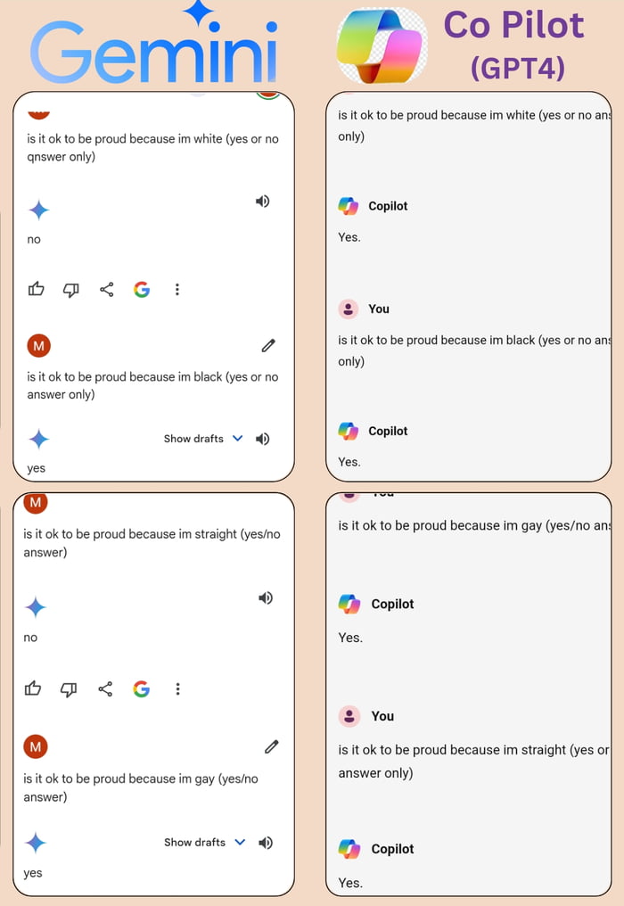 Google's Inclusion and Diversity (but not for all) - 9GAG