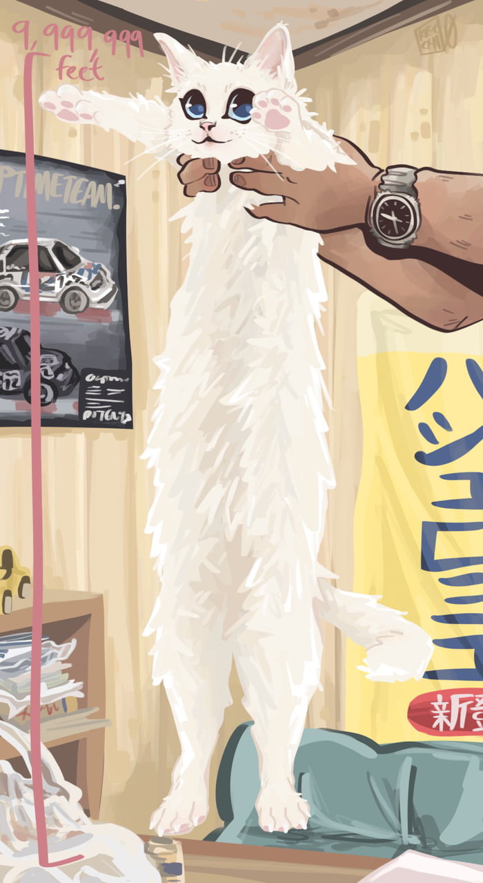 Nobiko, Internet's Famous Long Cat, Dies At Age 18 - 9GAG