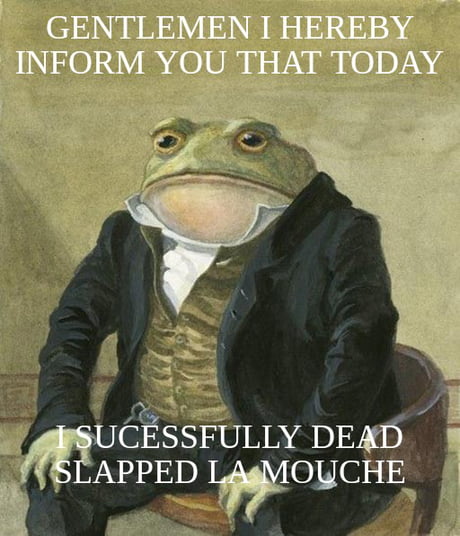 Memes Mouche