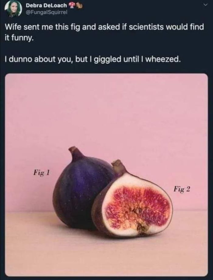 Fig 1 and Fig 2 - 9GAG