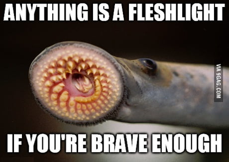 Lamprey Memes Lamprey Eel Stock Illustrations – 45 Lamprey Eel Stock
