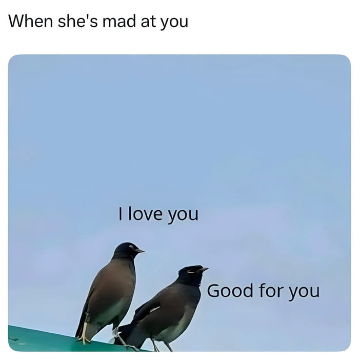 Trying to smooth things over when she's mad. - 9GAG