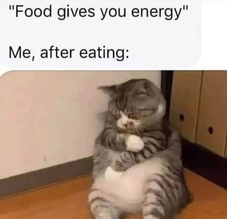 Food Coma Meme