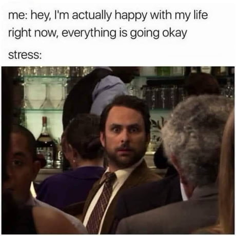 Current Stress Level Memes