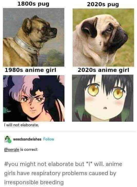 Best Funny breeding Memes - 9GAG