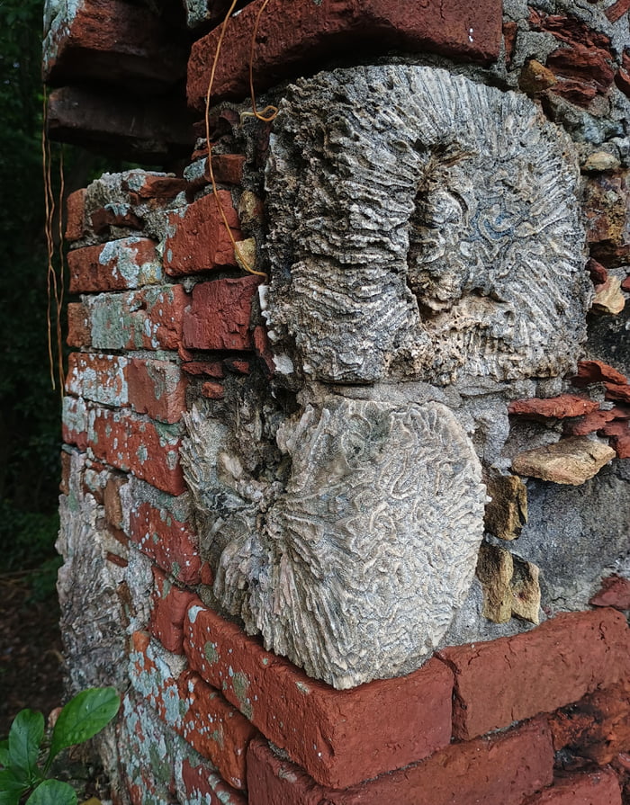 Sugarcane plantation building in the Caribbean constructed using coral ...