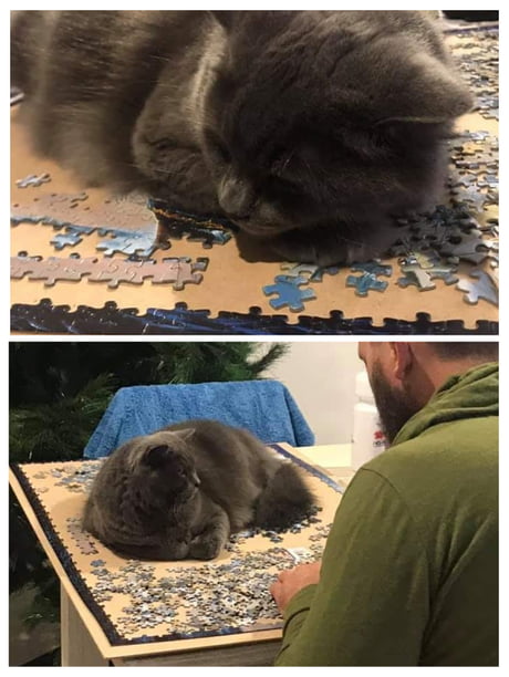 Best Funny puzzle Memes - 9GAG