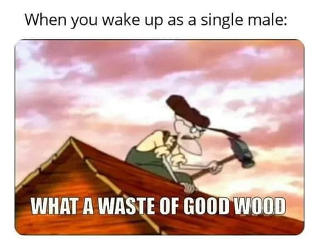Best Funny wood Memes - 9GAG