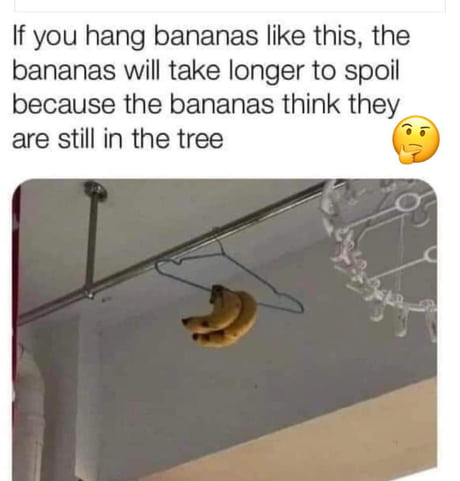 Best Funny banana Memes - 9GAG