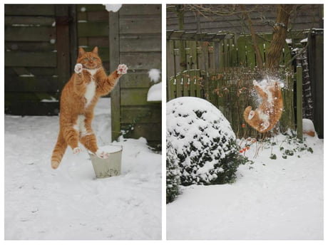 Best Funny snow Memes - 9GAG